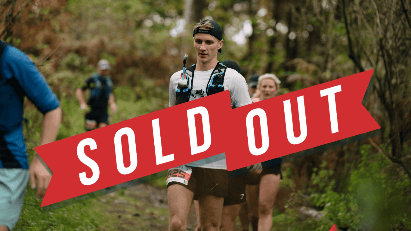 Delamere Forest 10k, Half Marathon & Marathon | 3rd November 2024